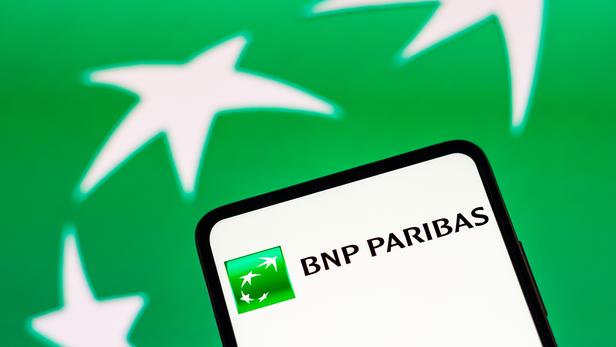La banque BNP Paribas devrait atteindre ses objectifs climatiques avec ...