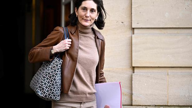 Fédérations sportives : Oudéa-Castéra fustige un rapport parlementaire ...