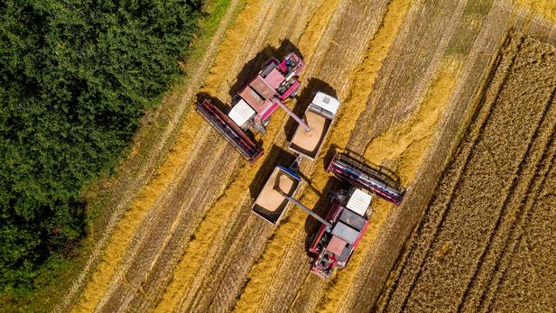 Les coopératives Agrial et Terrena étudient un «projet de rapprochement ...