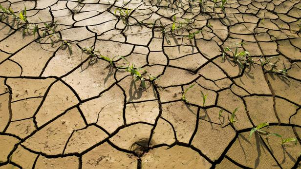 Selon un rapport du Lancet, l’inaction contre le changement climatique ...