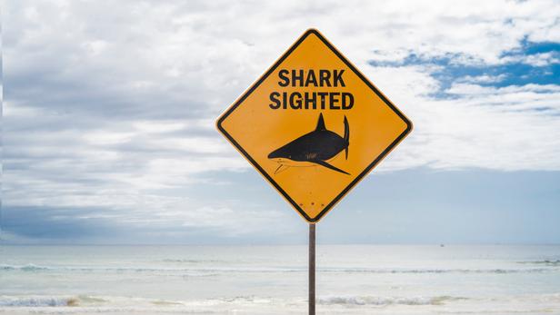 Bokep artis sarah azhari