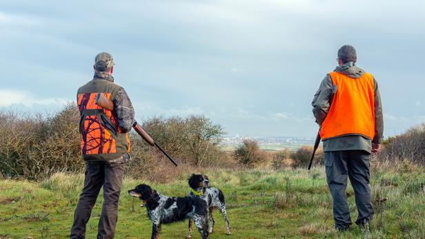 Nouvelle hausse des prix du permis de chasse en 2026