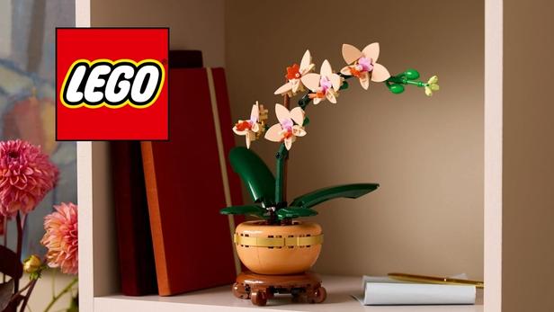 Amazon fait très fort avec ce set LEGO Botanicals : la les fleurs d ...