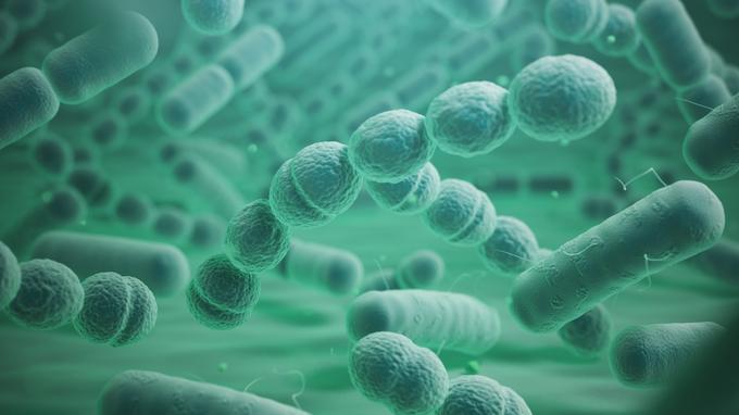 Streptocoque A : quelle est cette infection qui a causé la mort de ...