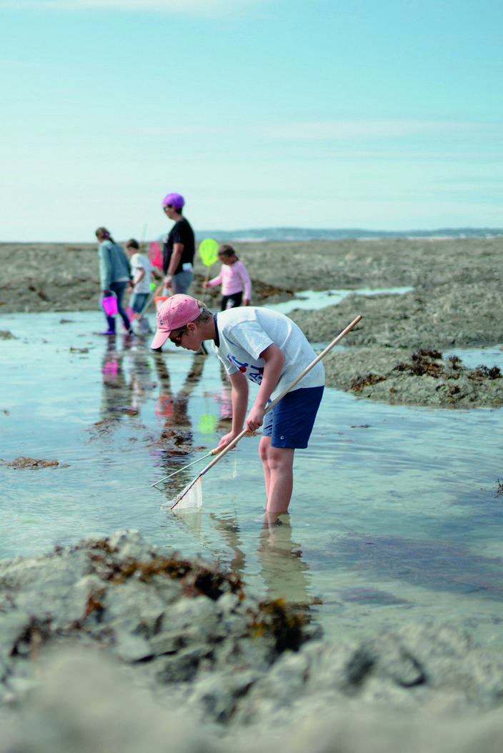Le Cotentin en famille : 10 idées d'activités automnales pour un week ...