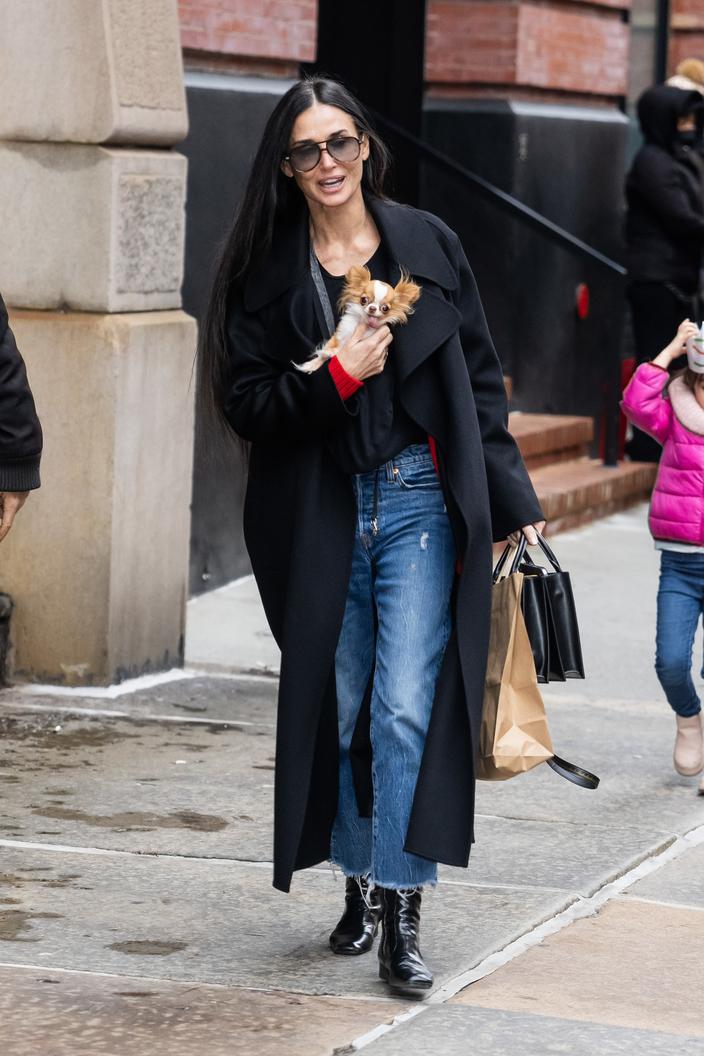Pilaf, chihuahua de Demi Moore et personnalité à part entière de la ...