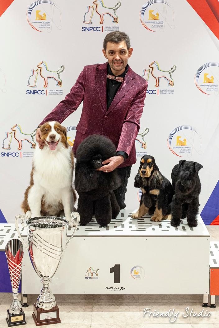 Mathieu Feuillet, champion des toiletteurs : à Mâcon, vos chiens sont ...