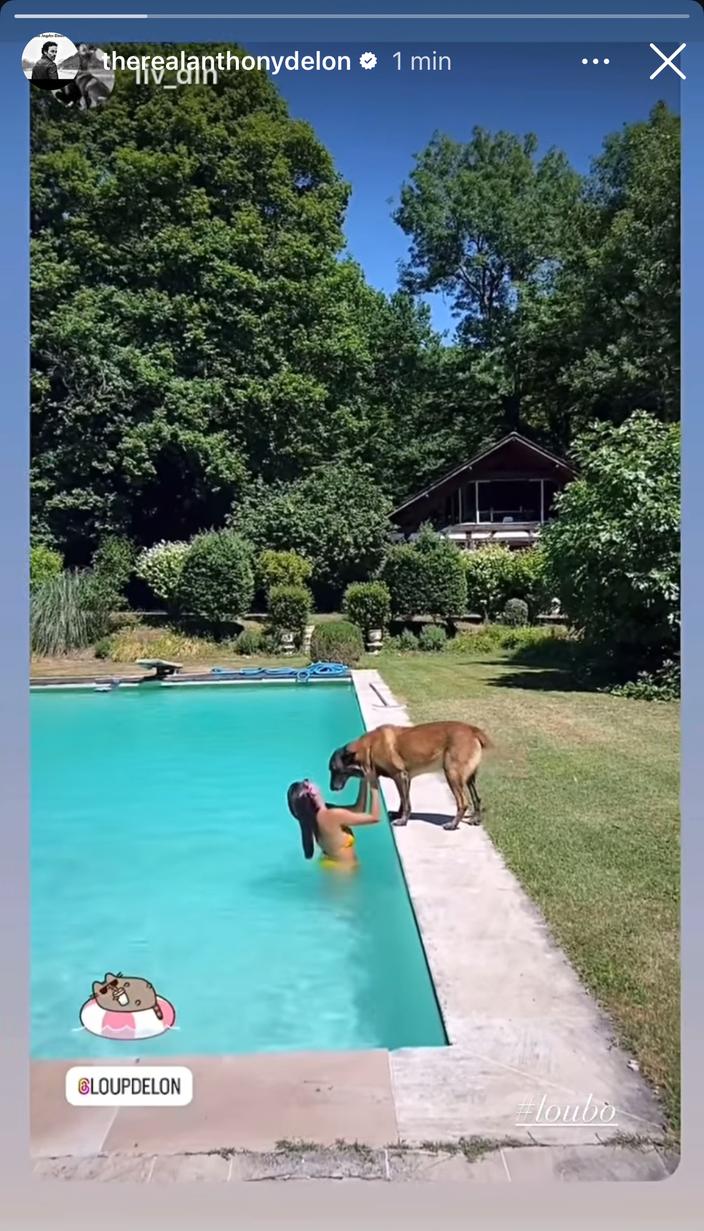 Anthony Delon réuni avec ses filles Liv et Loup : leur fidèle chien ...