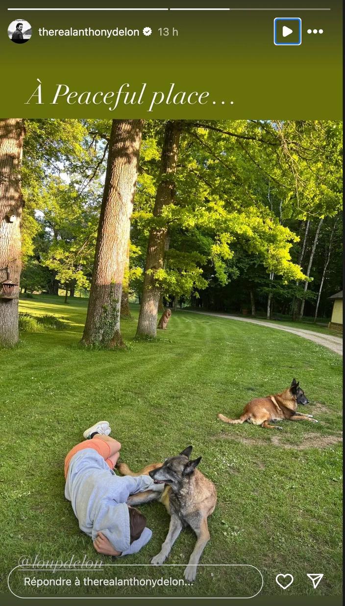 Anthony Delon de retour à Douchy : sa fille Loup câline avec Loubo et ...