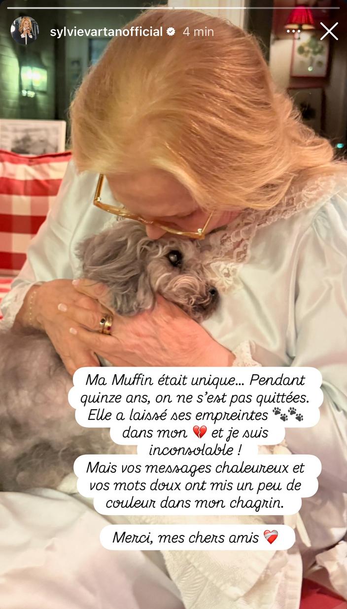 Sylvie Vartan “inconsolable” après une douloureuse perte : “Pendant 15 ...
