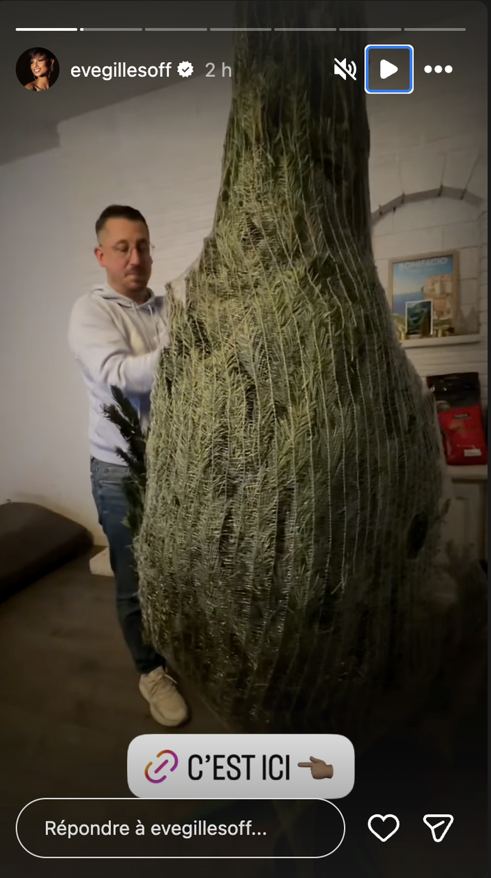 Ève Gilles et son chéri Simon en pleine installation de leur sapin de ...