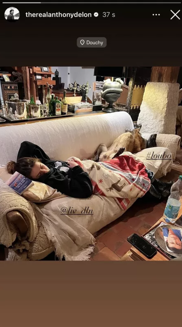 RÉCIT - Alain Delon : comment son chien Loubo est devenu le gardien du ...