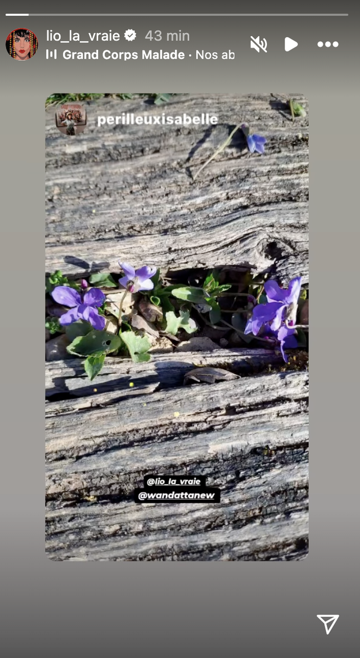 Lio : la chanteuse sort du silence après la mort de son fils