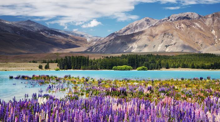 Séjour Nouvelle-Zélande | 22 jours | Des volcans aux fjords