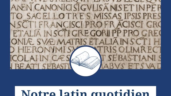 Motus, ce mot latin du quotidien