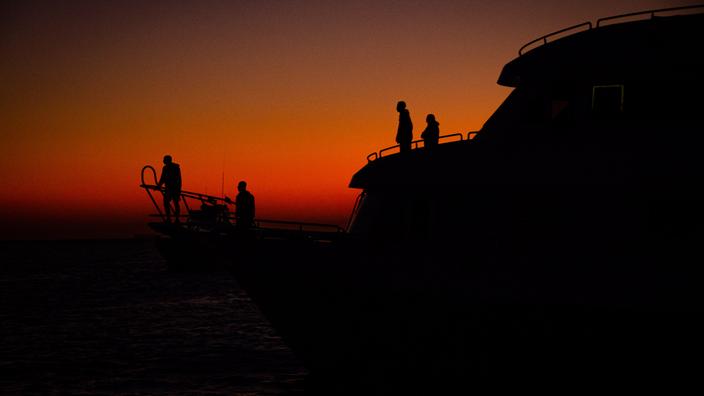 Égypte : dix sites de plongée féériques en mer Rouge