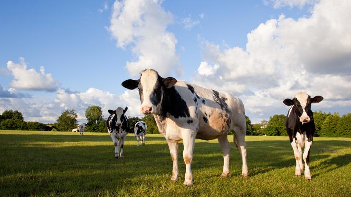 Les résultats du groupe Even dopés par le prix du lait en 2022