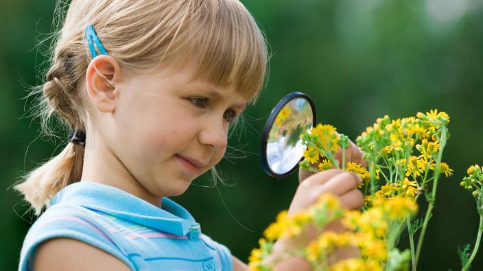 Savez-vous décrire une fleur avec le bon vocabulaire
