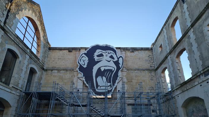 Bordeaux : l'écosystème Darwin sur la rive droite pourrait-il disparaître