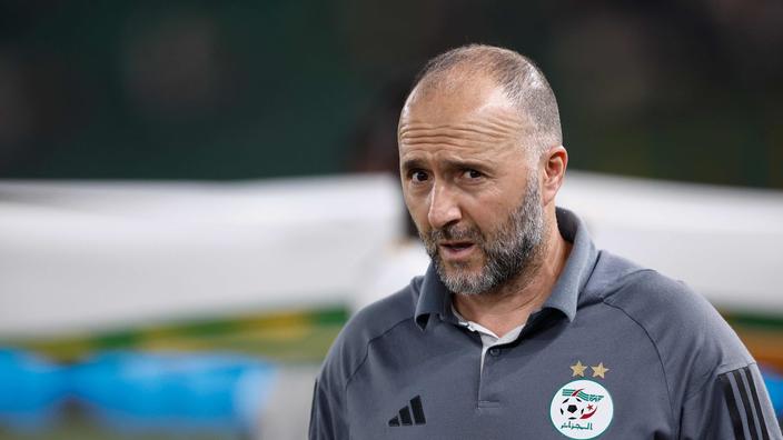 Football : l'Algérie, éliminée à la CAN, annonce le départ de Djamel ...