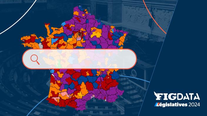 CARTE : les résultats définitifs des élections législatives 2024 dans ...