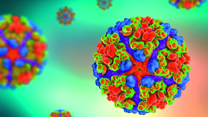 Articulations : ces virus et bactéries qui peuvent causer de fortes ...