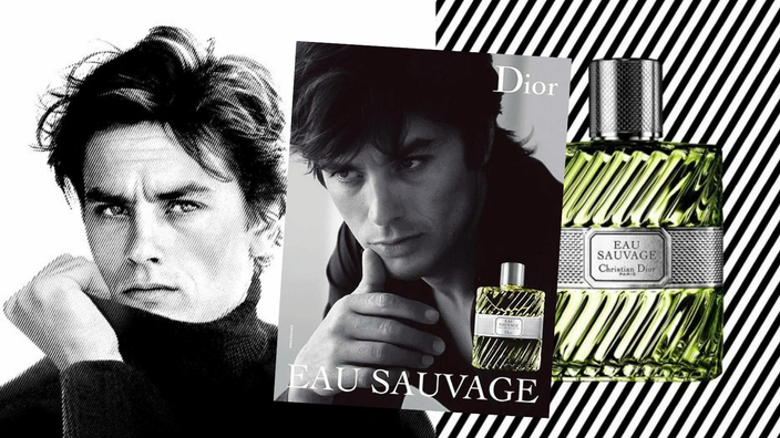 « Eux, c'est l'eau. Moi, je suis le sauvage » : ce jour où Alain Delon ...