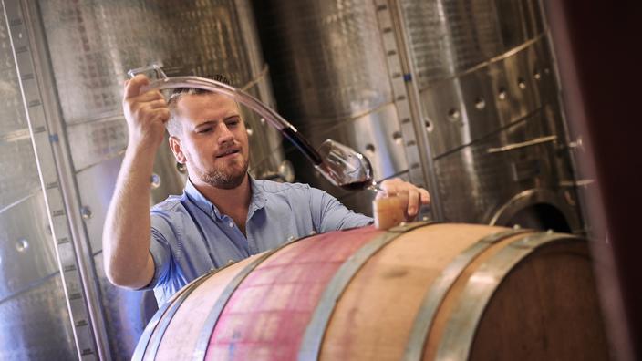 Qu'est-ce que la fermentation malolactique et à quoi sert-elle