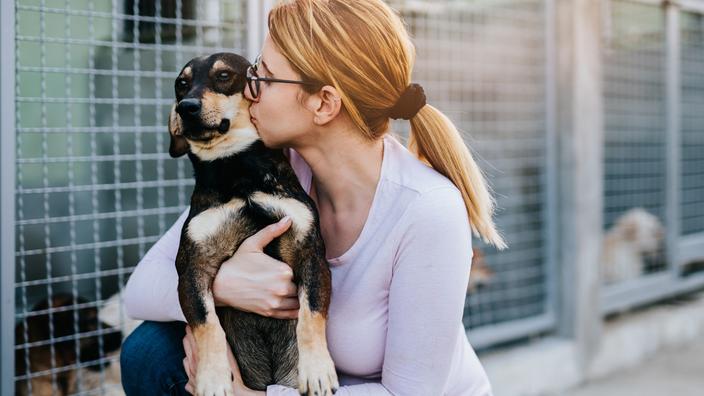 Qu'est-ce que la Société protectrice des animaux (SPA)