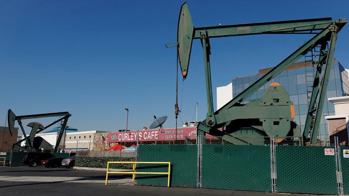 Beeguk this individual is extremely sociable and hopes to