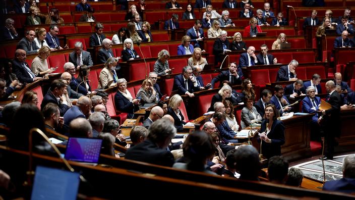 Anne de Guigné : « Les députés sont nuls en économie, et alors