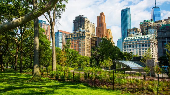 S’installer à New York : notre palmarès 2026 des quartiers où il fait ...