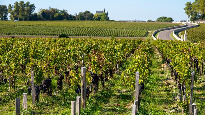 Viticulture : l'État annonce un plan de «sortie de crise» et un ...