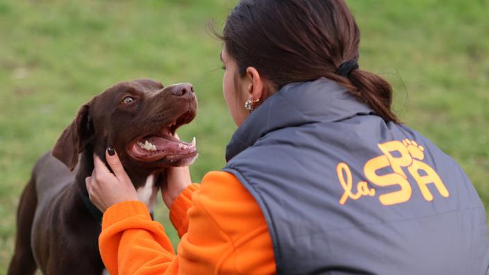La SPA fête 180 ans d’engagement au service des animaux