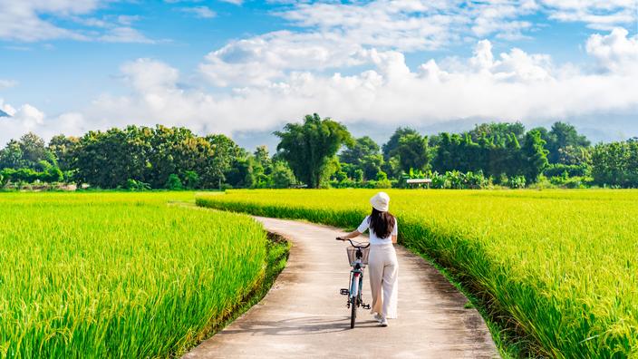 Une fondation propose des pistes pour développer les trajets en vélo en ...