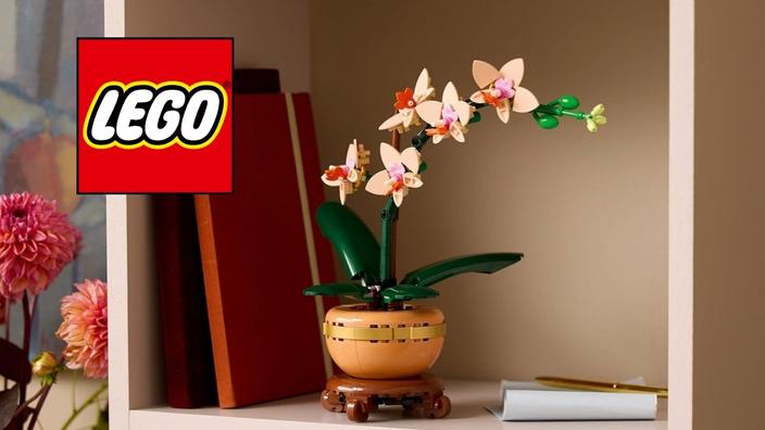 LEGO : 3 sets de fleurs incontournables à retrouver en promo sur Amazon