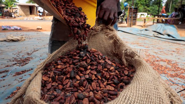 Crise du cacao: la Côte d’Ivoire réduit de près de 60% le prix d’achat ...