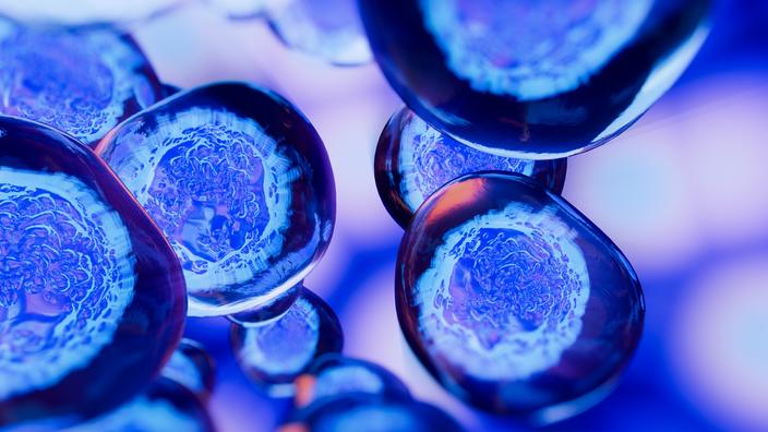 Bioéthique : mieux vaut un compromis imparfait qu’un consensus illusoire
