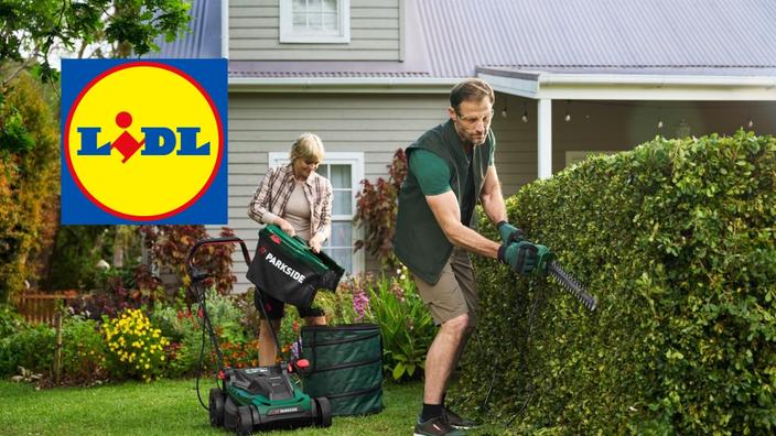 Jardinage : Lidl fait très fort avec une offre inespérée sur cette ...