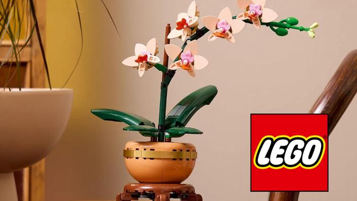 Amazon liquide ses stocks de fleurs LEGO : l’orchidée passe à 19,99 ...