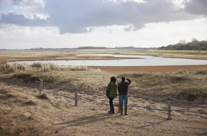 Le Zwin Parc Nature : entre plages et dunes, que faire dans la perle du ...