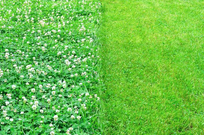 Tonte différenciée : quels sont les avantages de cette pratique