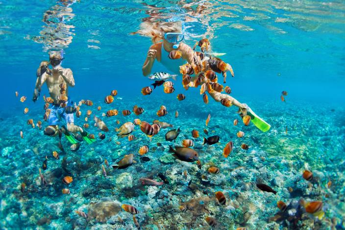 Quand partir aux Maldives ? Météo, plongée, activités… La meilleure ...