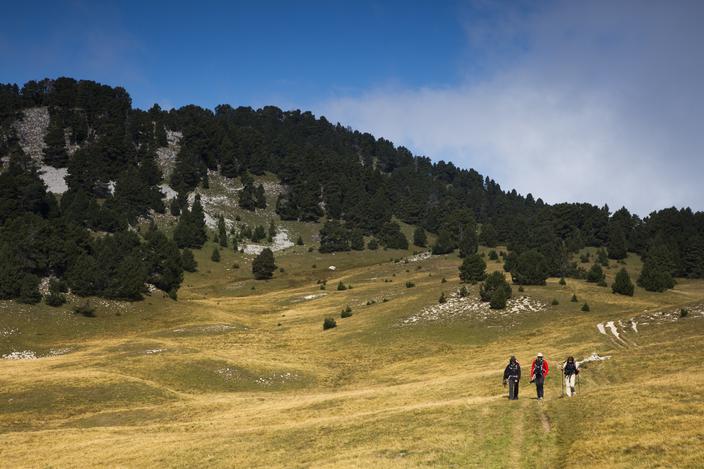 Randonnée : sur les Hauts Plateaux du Vercors, trois jours en immersion ...