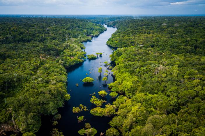 Ouverture du sommet «One Forest» au Gabon pour protéger les forêts ...