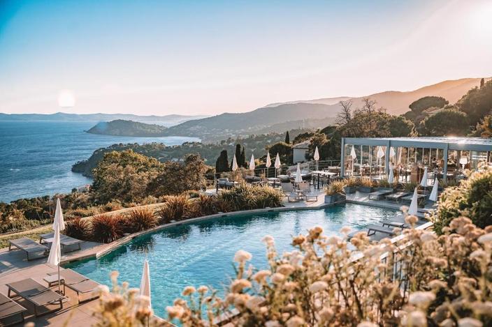 La saison du mimosa est ouverte sur la Côte d'Azur : notre guide pour ...