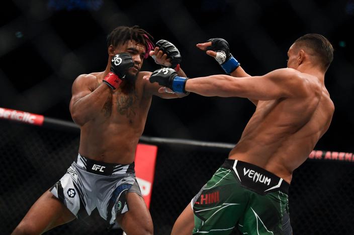 MMA: la très belle soirée des combattants français à l’UFC Paris II