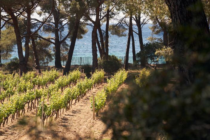 Domaines Ott*, toute l'expression des terroirs de Provence
