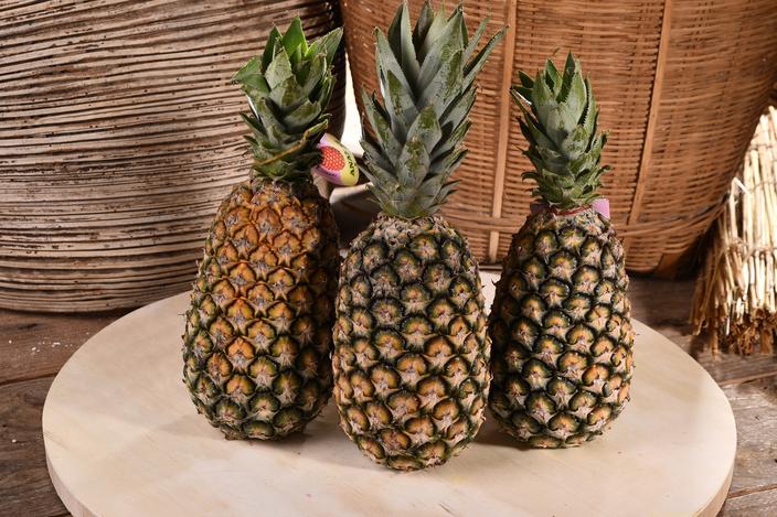 Quelles sont les 4 meilleures variétés d’ananas