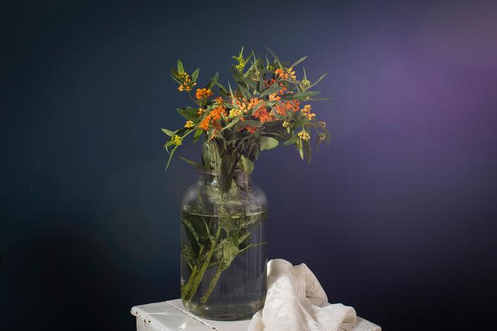 Ces 10 fleurs à ne surtout pas offrir à la Saint-Valentin : elles ont ...